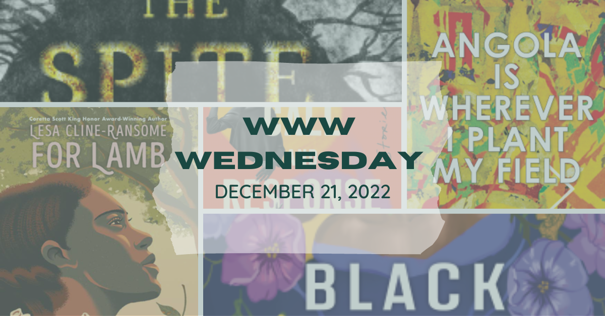Weekly Meme for December 21, 2022 – WWW Wednesday - Reading Beyond The ...